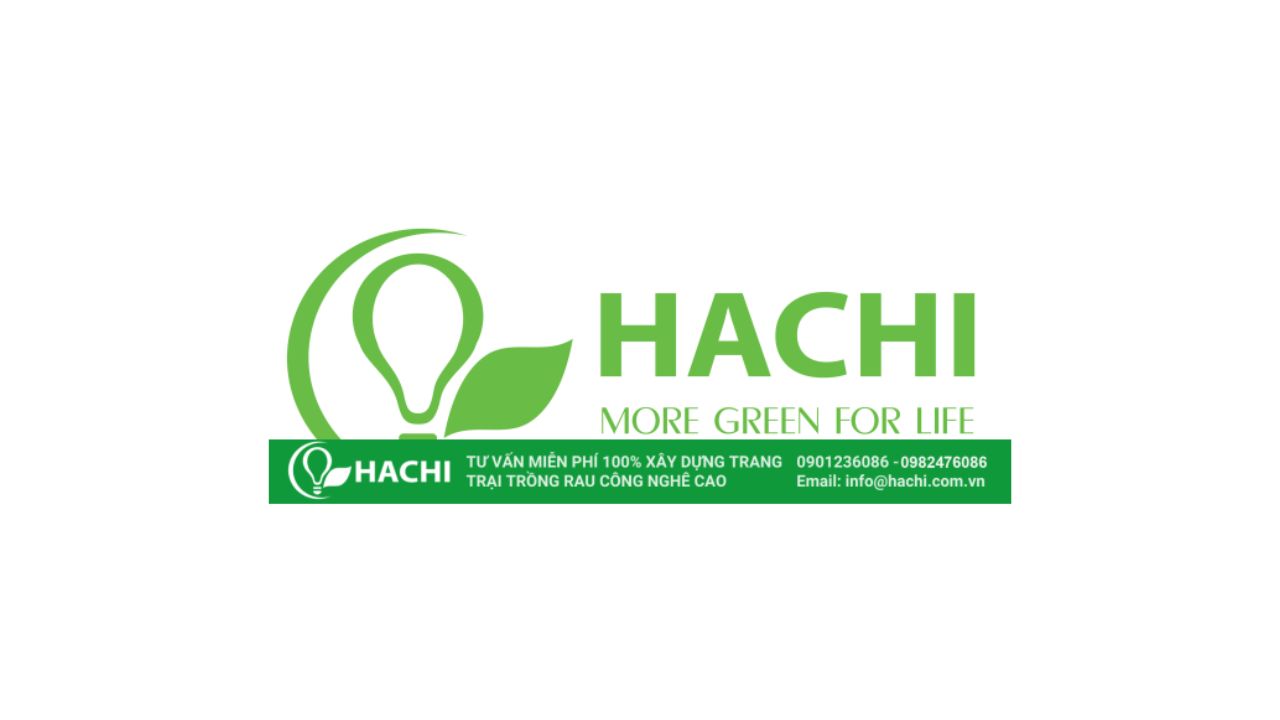 Hachi | Startup Wheel